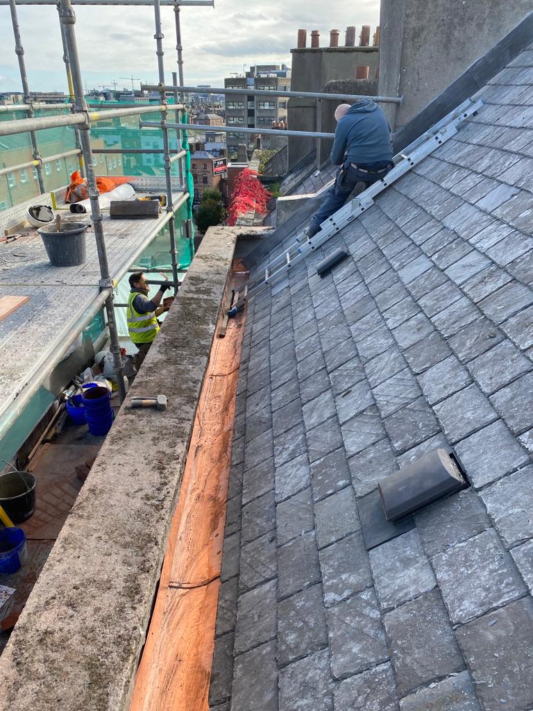 Salvage Roofing Products - Rainline